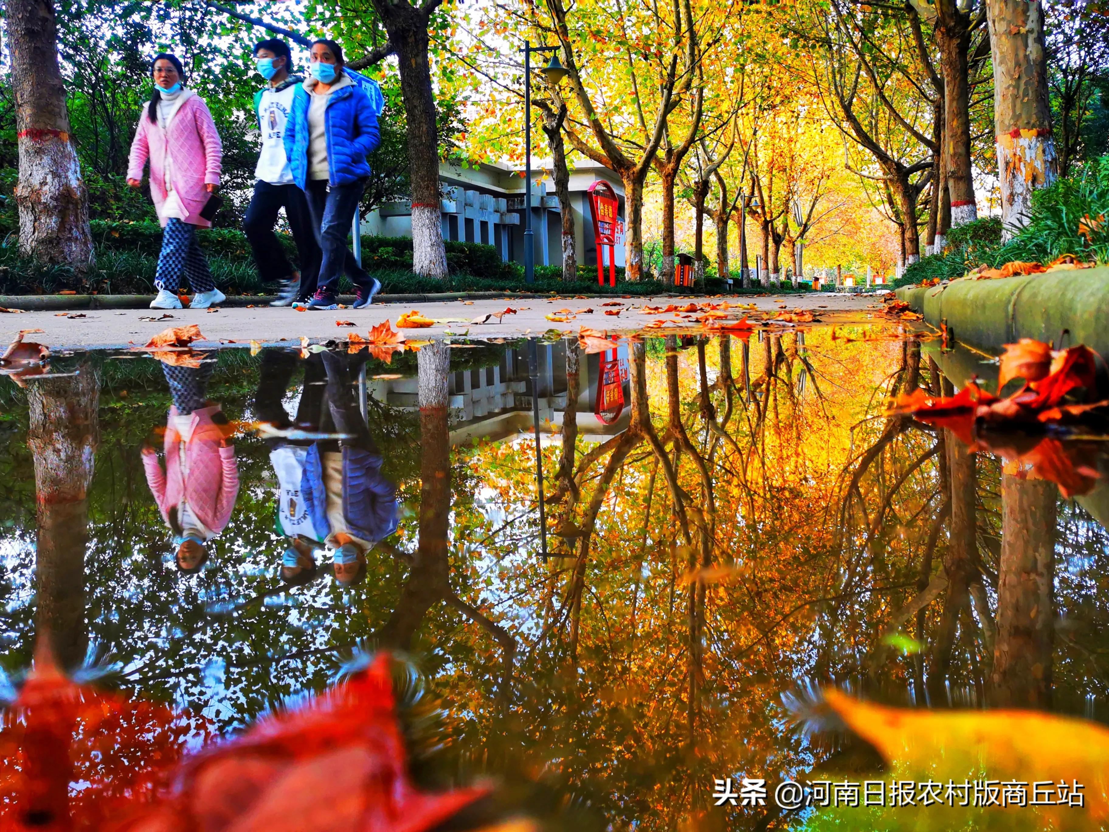 Zhecheng: The early winter scenery is intoxicating - iNEWS