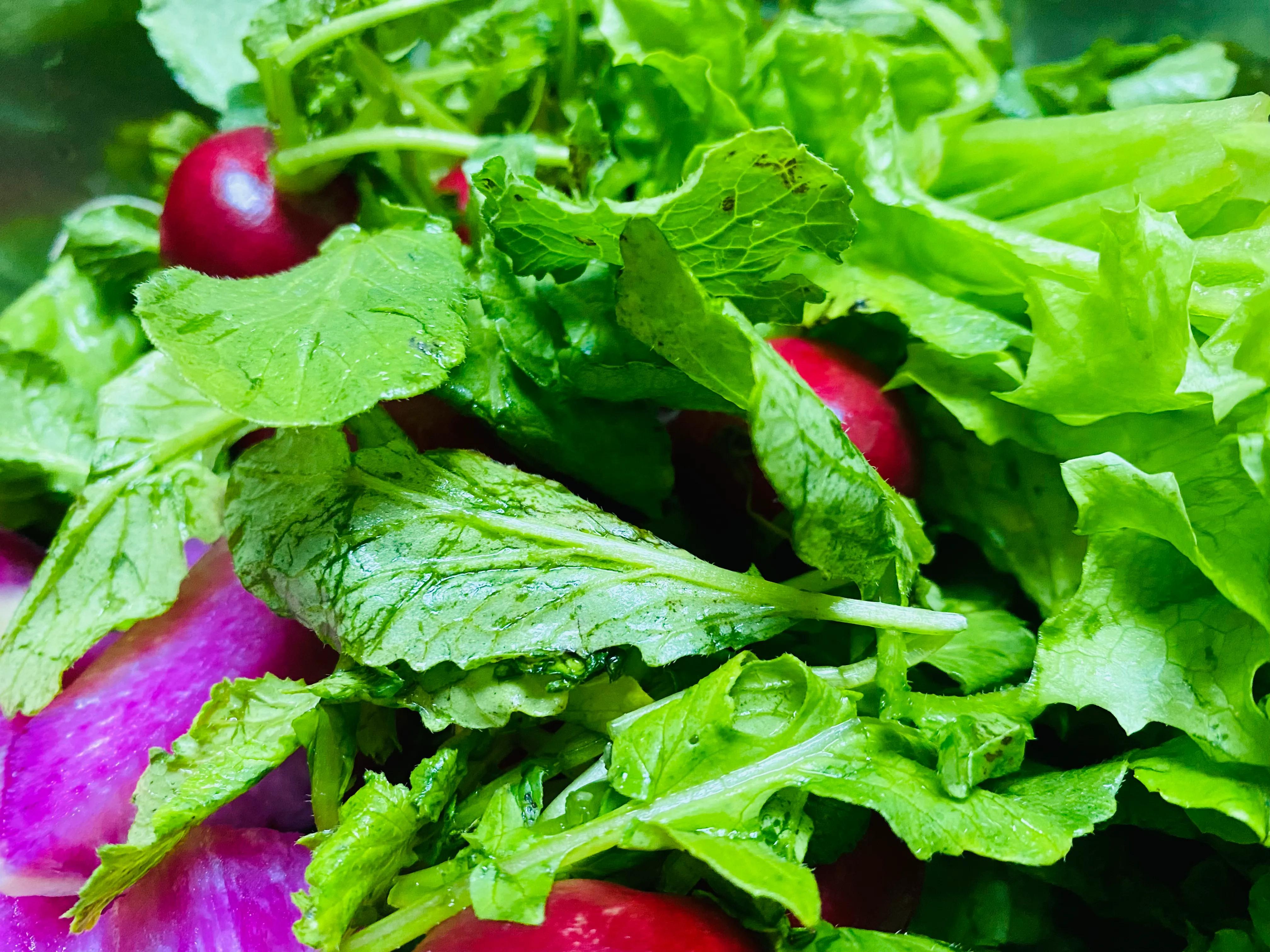 Dongbei Rice Buns for Dinner - iNEWS