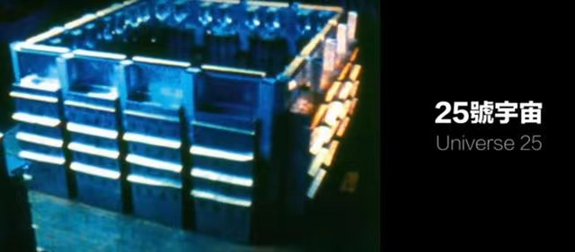 Think carefully about the terrifying "Universe Experiment No. 25" dream ...