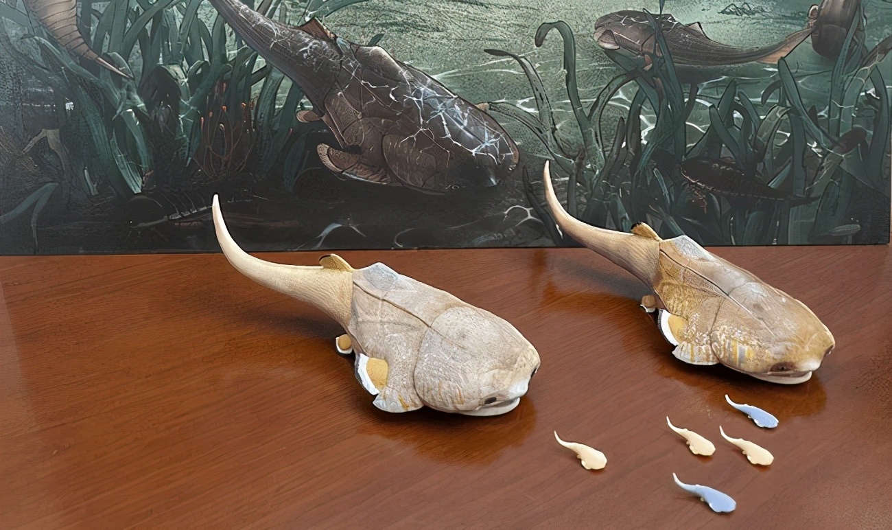 Qujing discovers the "mystery" of the evolution of the upper jaw and ...