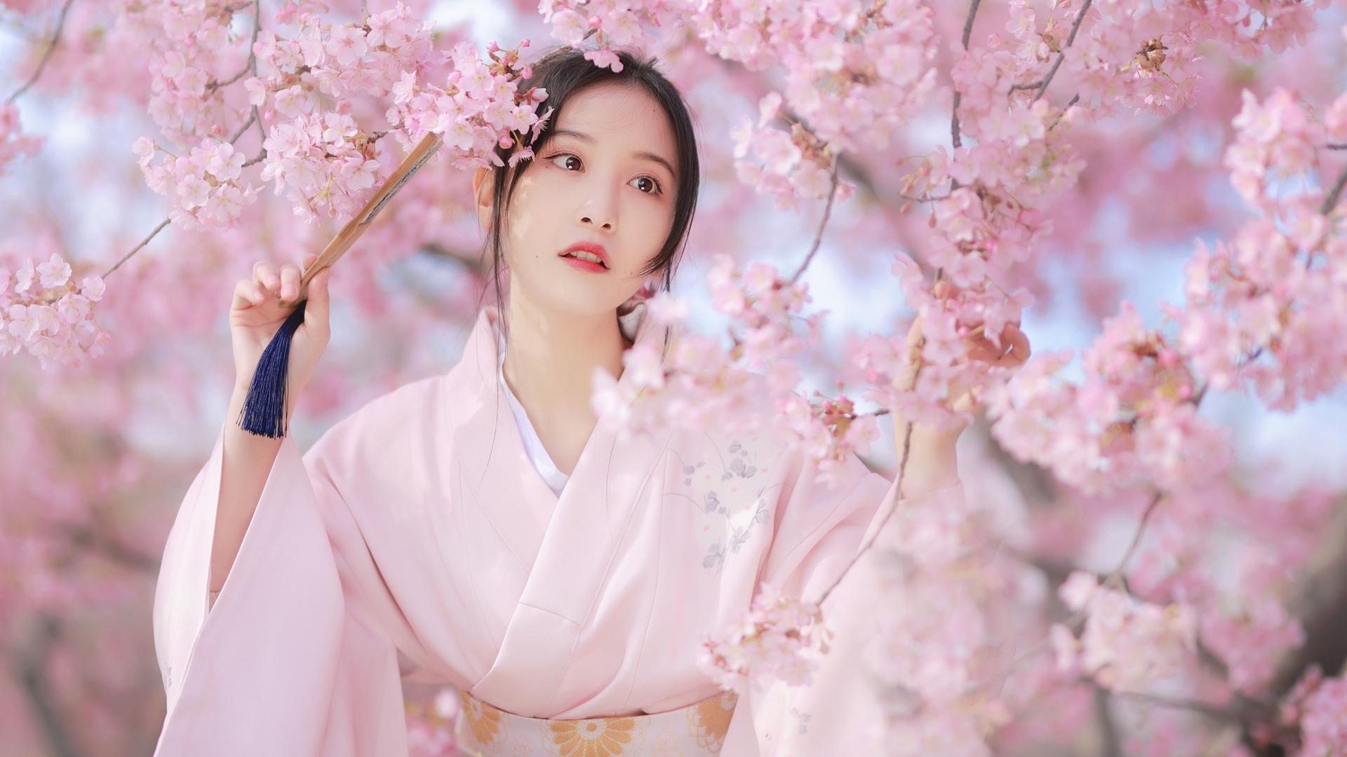 The beauty under the romantic cherry tree - iNEWS