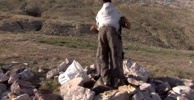 Pickled puffin: more smelly than canned herring, the Eskimos rely on it ...