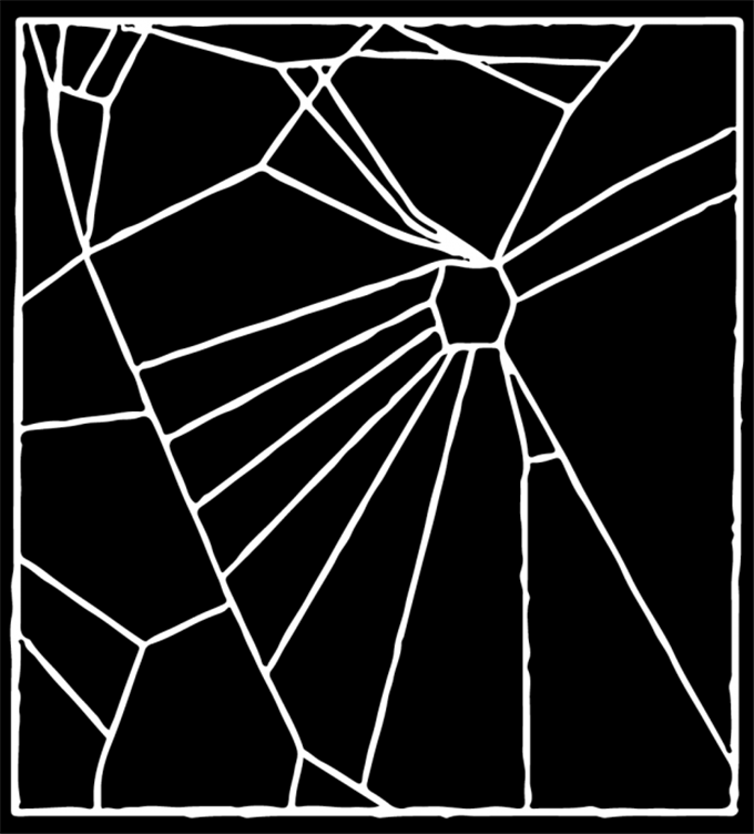 NASA's alternative spider web weaving experiment allows spiders to ...