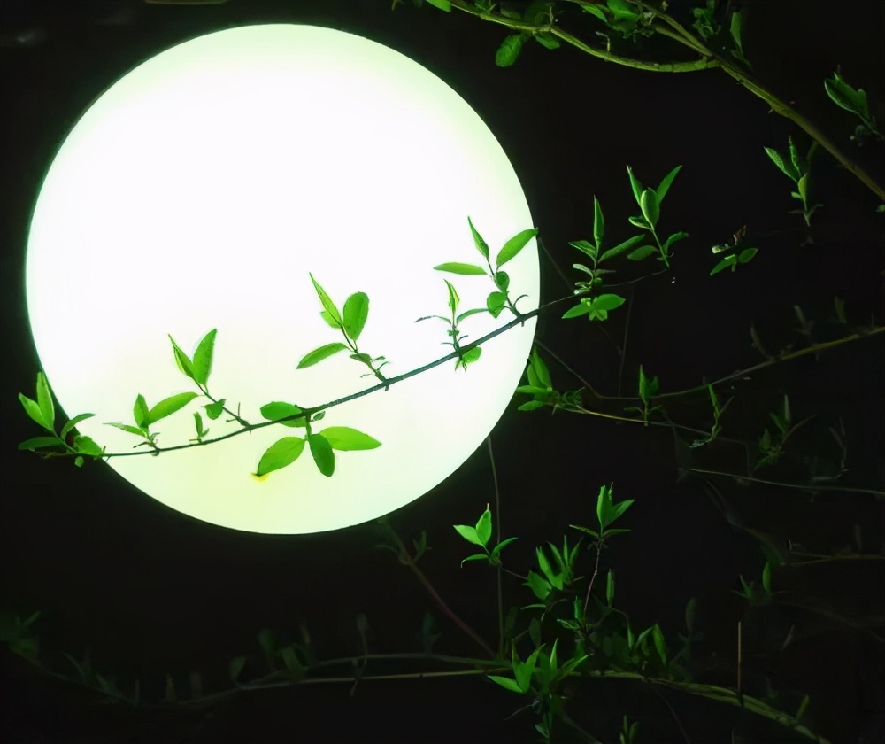When Li Bai left his hometown, the bright moon accompanied him, so Li ...
