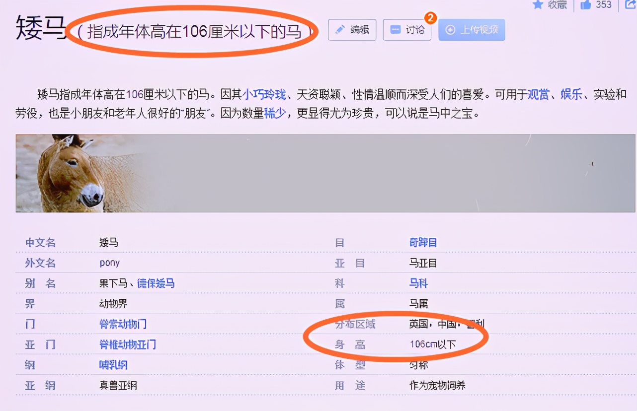 Yin Shihang was photographed riding a pony. The height of passersby ...