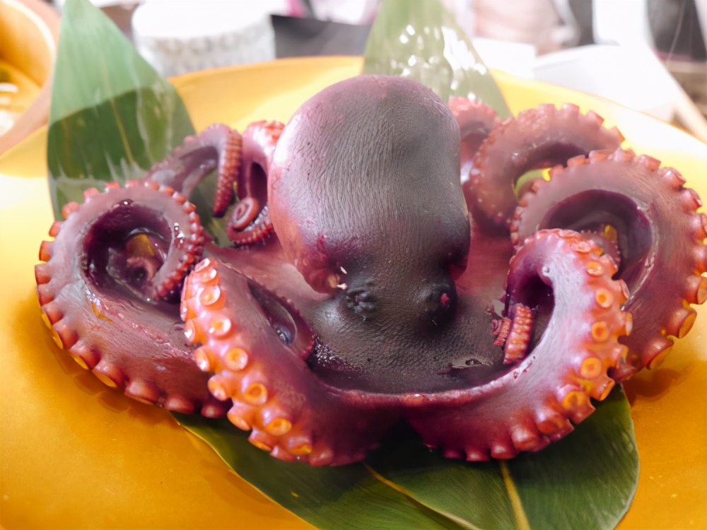9-legged octopus spotted off the coast of Japan! Experts bluntly ...