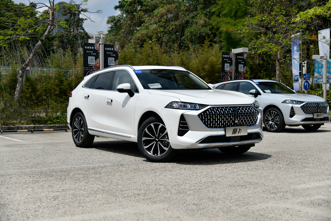 The stubbornness from WEY Mocha uses intelligent configuration to ...