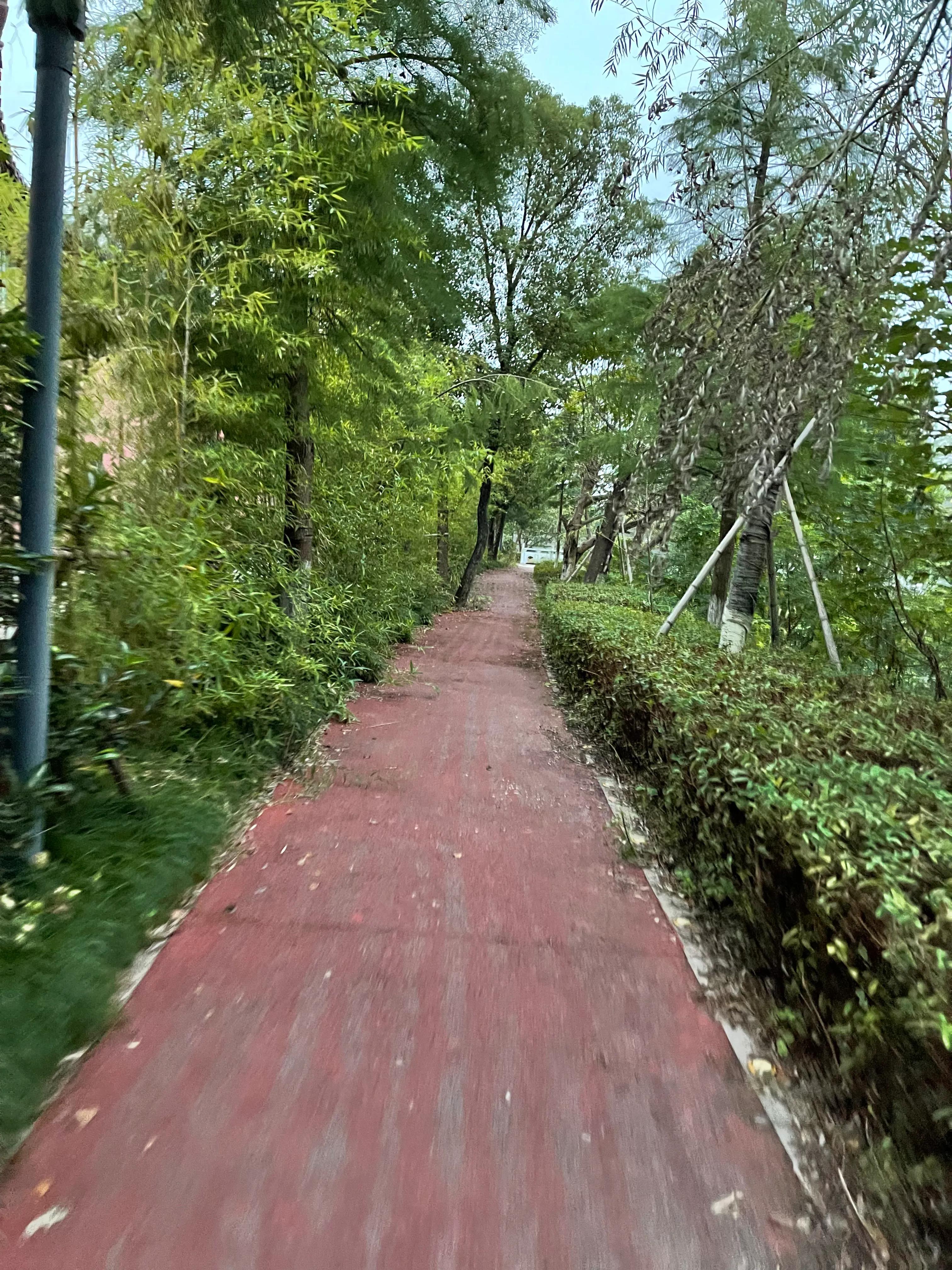 Autumn is strong, good morning jog - iNEWS