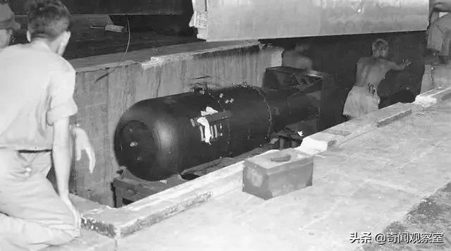 The largest shark cannibalism in history, hundreds of people were eaten ...