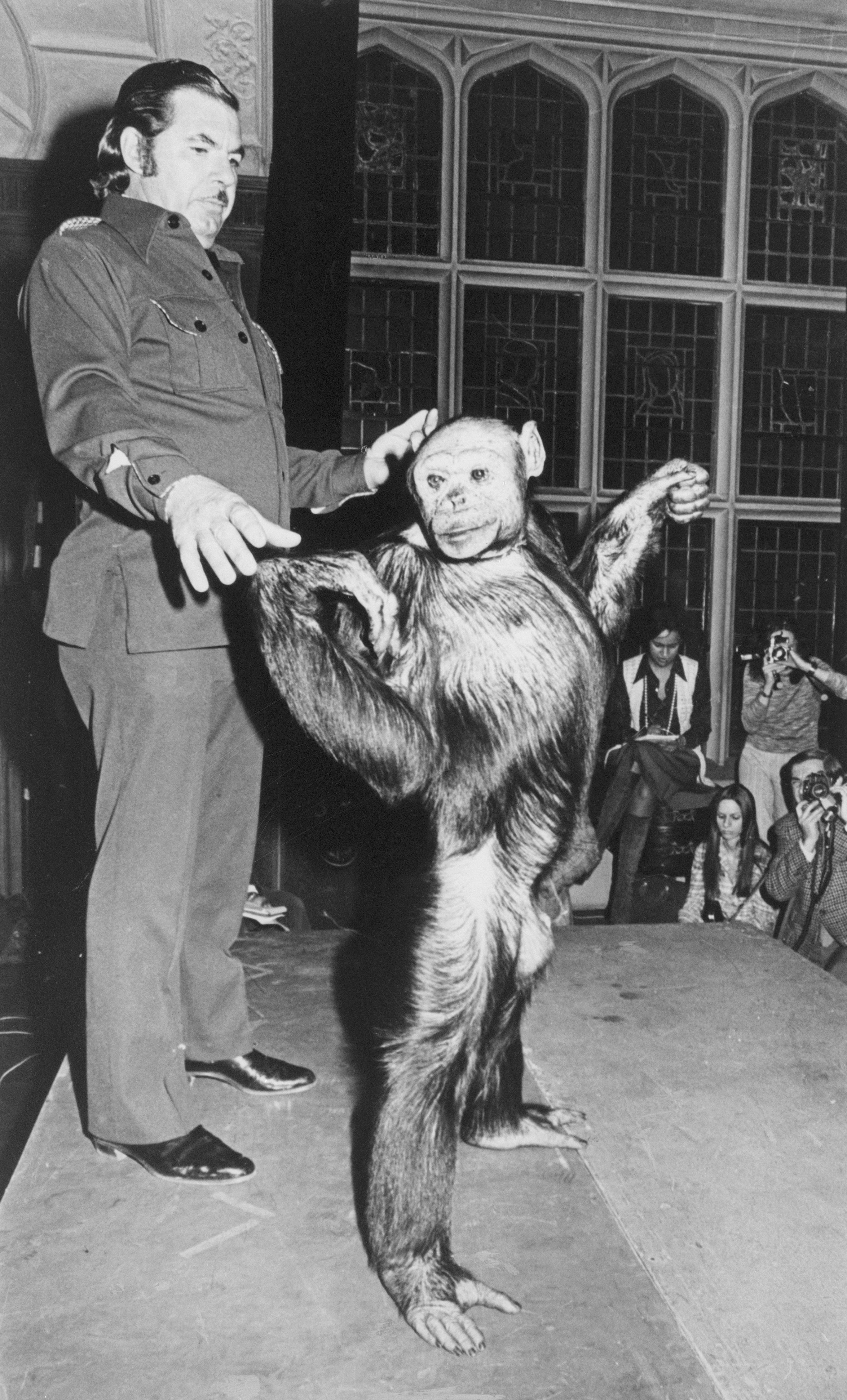 The chimpanzee closest to Caesar: Oliver, what are the consequences of ...