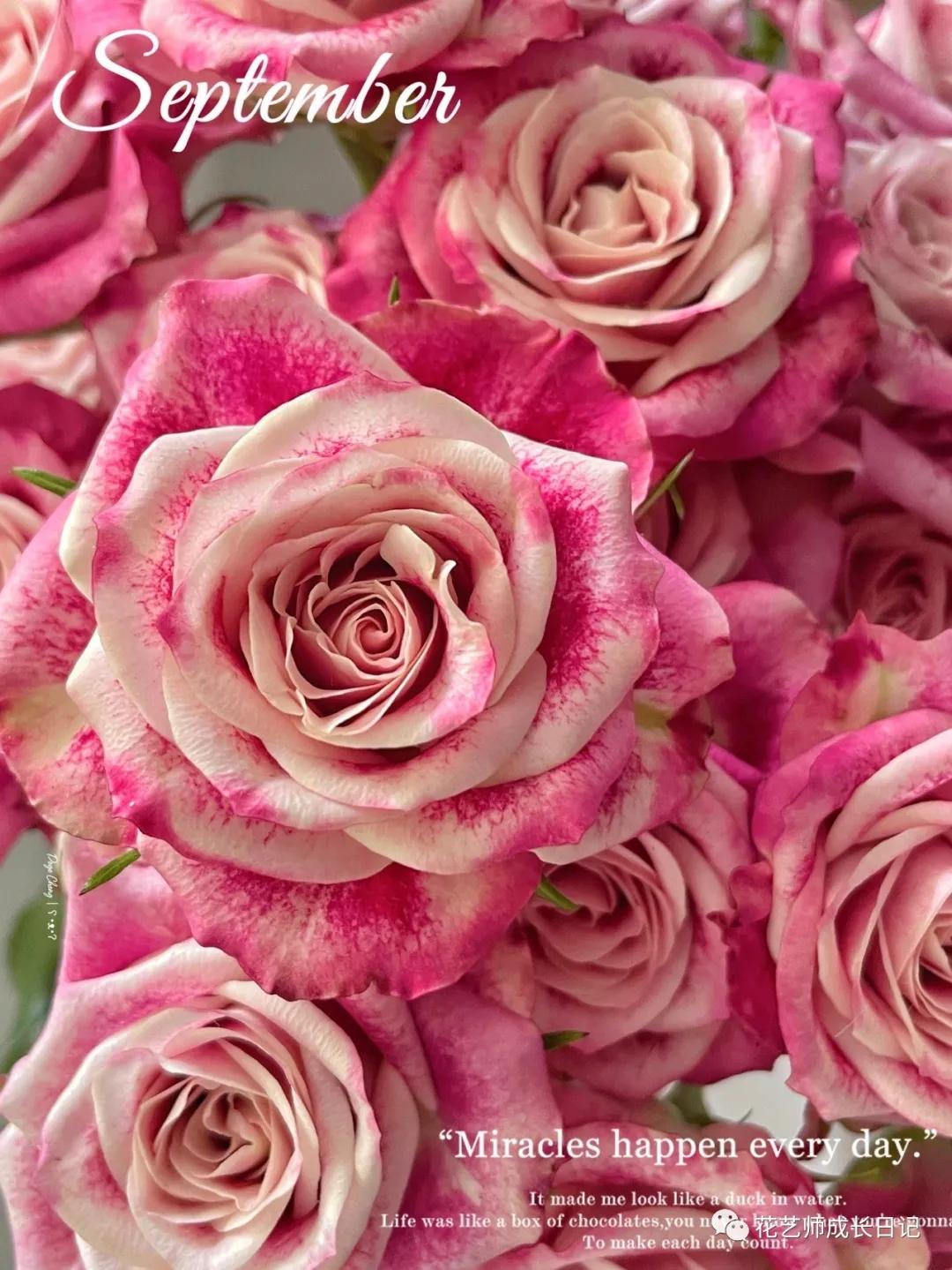 Oil painting style rose flinders lane, retro roses soaked in oil paint ...