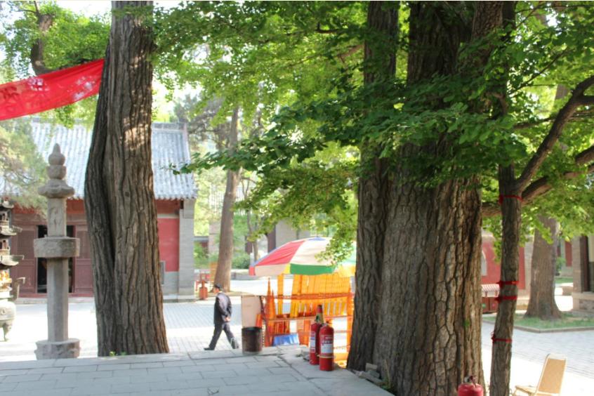 Jinan Lingyan Temple - iNEWS