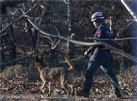 The unsolved disappearance case of mankind, the disappearance of Mora ...