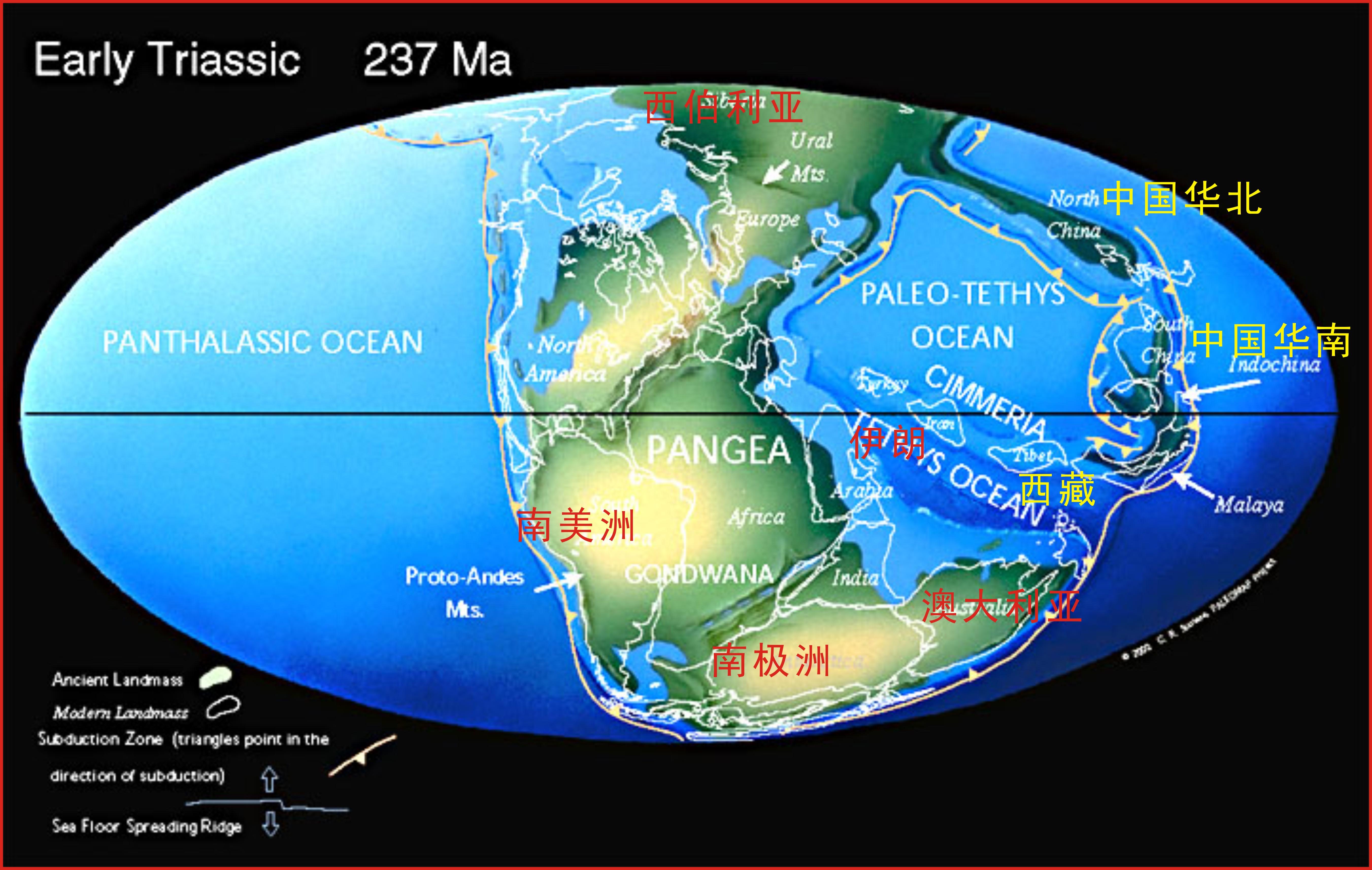 China was an equatorial tropical country more than 200 million years ...