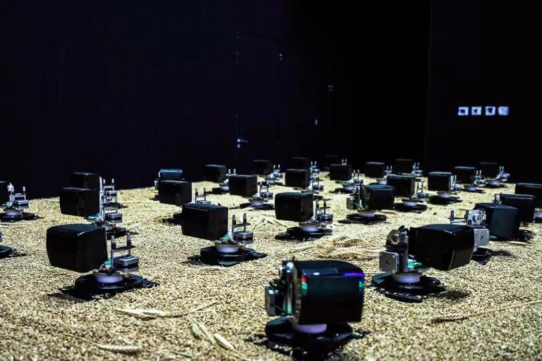 "Art Award" "Evolution" Bai Xiaomo - iMedia