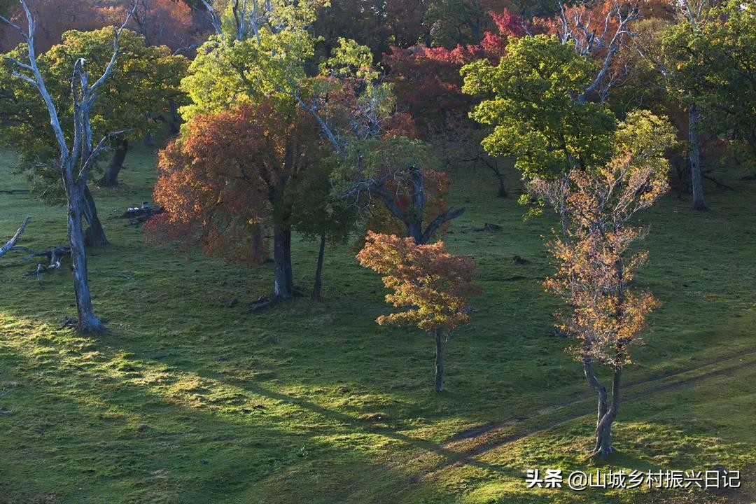 The ancient wood paradise of Huinan, Tonghua, Sifang Dingzi Mountain ...