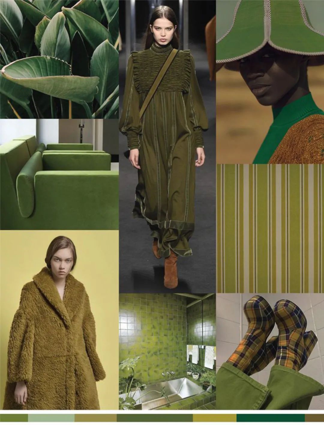 2022 spring and summer must fire color series-olive oil color - iMedia