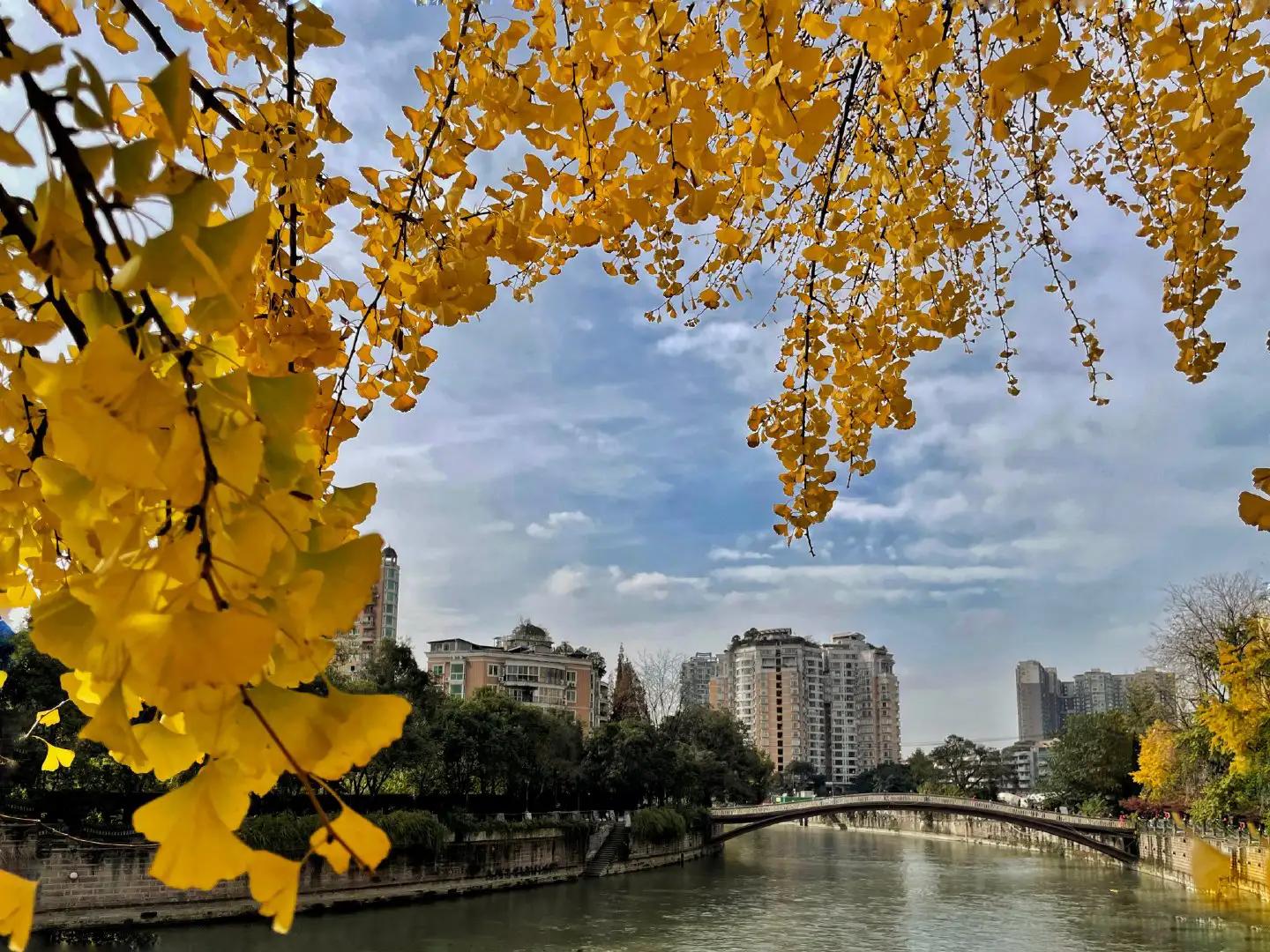 Beautiful chengdu - iNEWS