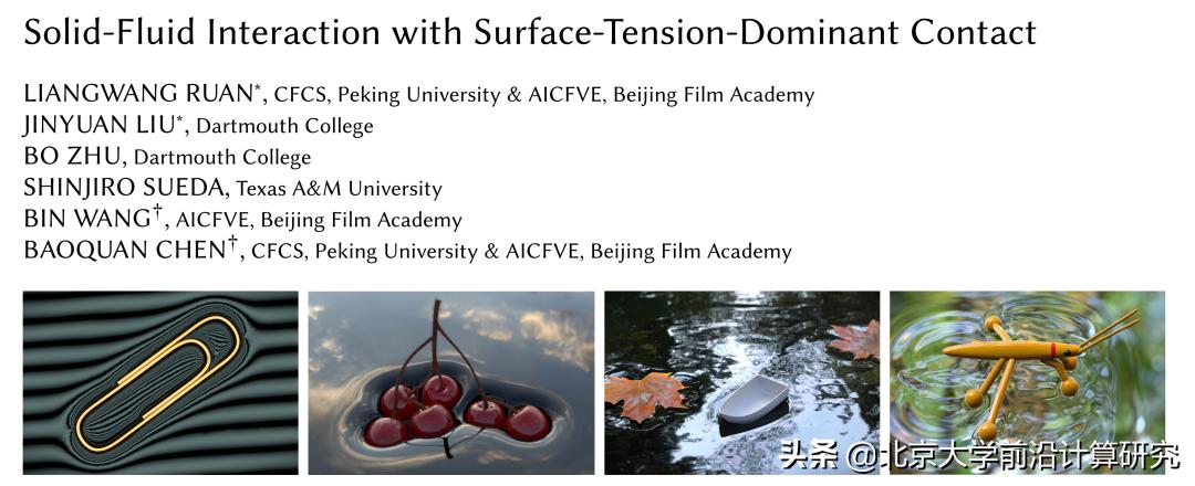 Fluid-structure strong coupling simulation with surface tension - iNEWS