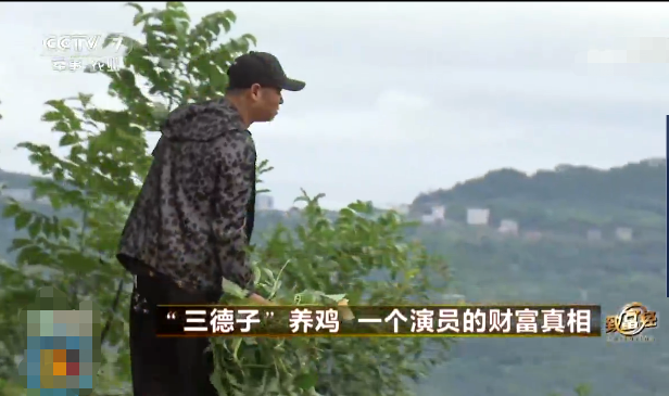 San Dezi and Zhang Guoli are rare in the same frame! Go back to ...