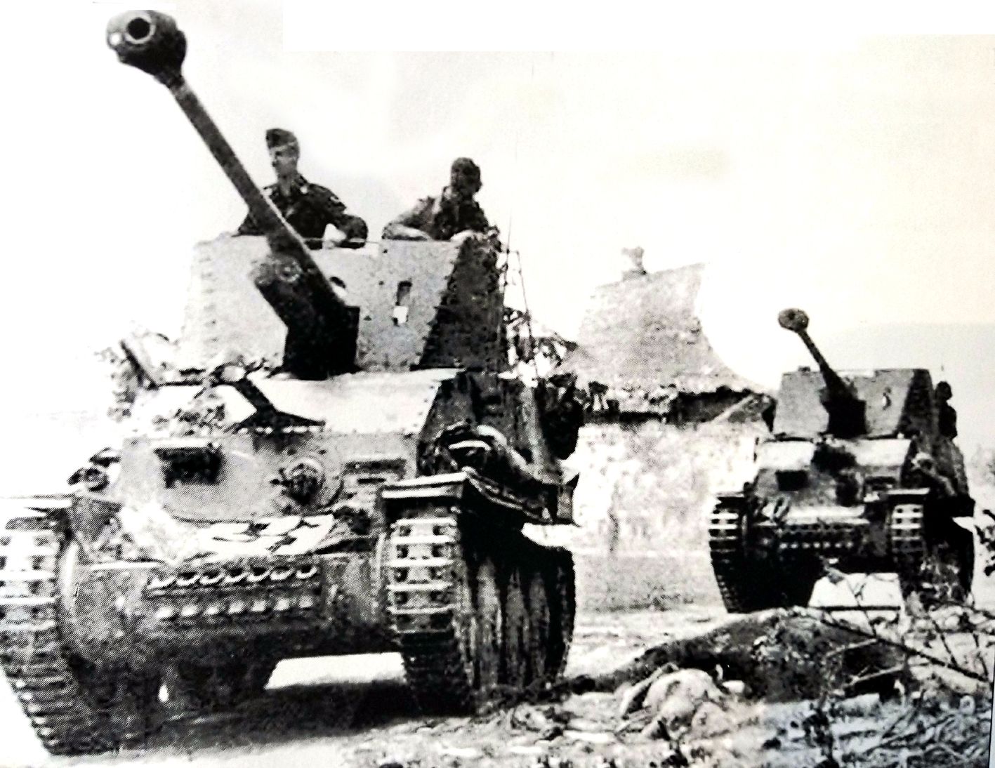 German tank destroyer of World War II "Weasel" anti-tank gun vehicle ...