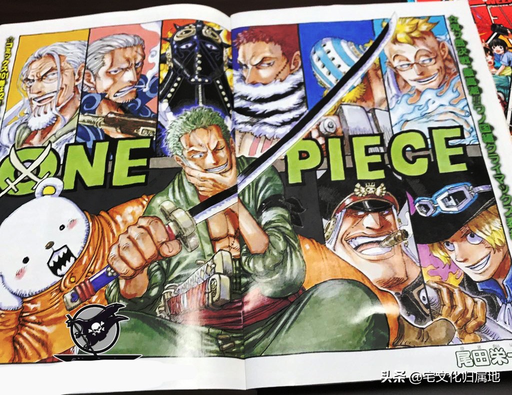 Chapter 1031 "Individual Sinicization" Sanji's Inner Monologue and His ...