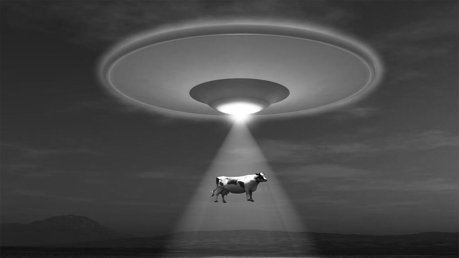 The unsolved mystery of the world: the cattle slaughter, aliens came to ...