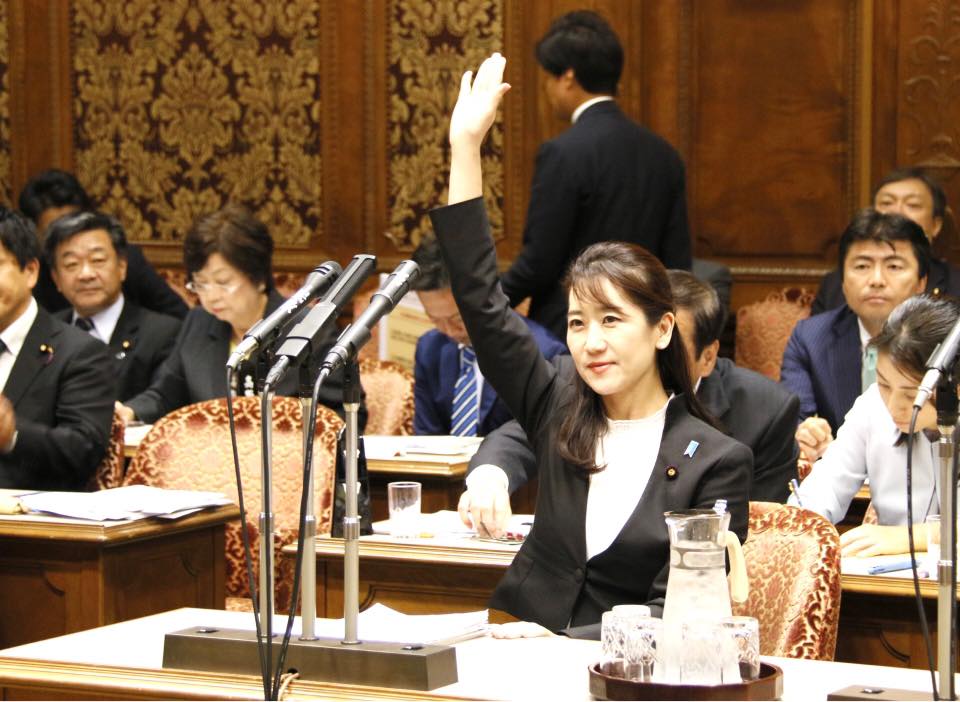 How powerful is the Senate in Japan?Can you fight the emperor and the ...