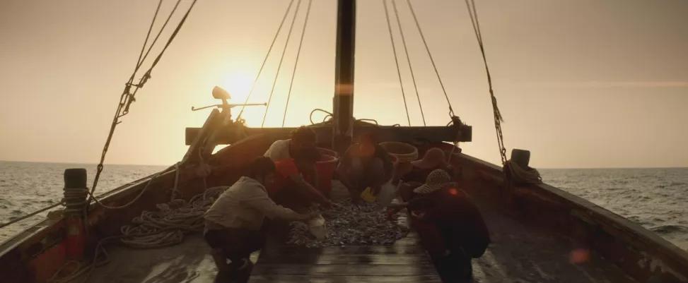 Half a cup of white rice a day, bones on the bottom of the sea are ...