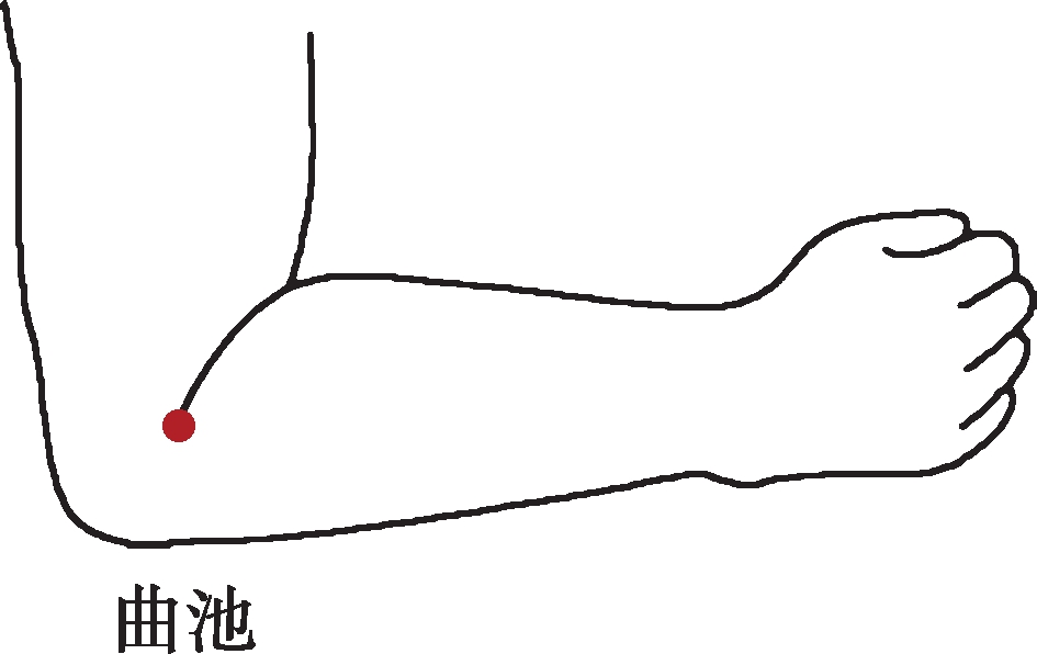 Master of Traditional Chinese Medicine Lu Jingshan's Acupoints: Quchi ...