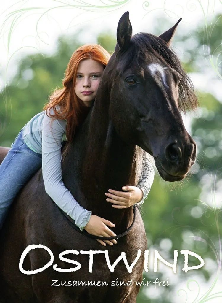 9 best movies about horses, everyone will be fascinated by horses (part ...