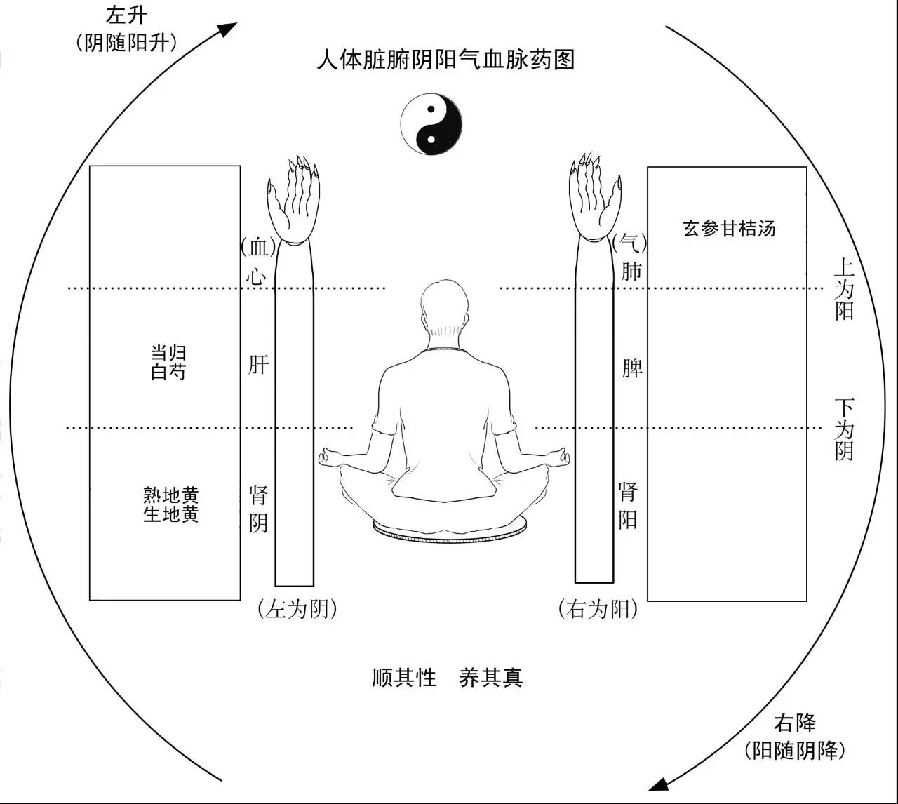 Baihe Gujin Decoction is effective in treating cough and asthma - iNEWS