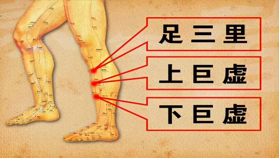 Collection of TCM Acupuncture Points Songs - iNEWS