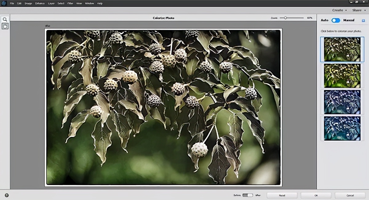 PS Elements 2022 is here!The era of intelligent retouching has arrived ...