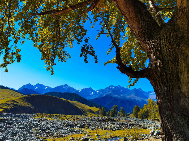 The Tianshan Mountains in Xinjiang enters autumn, colorful - iNEWS