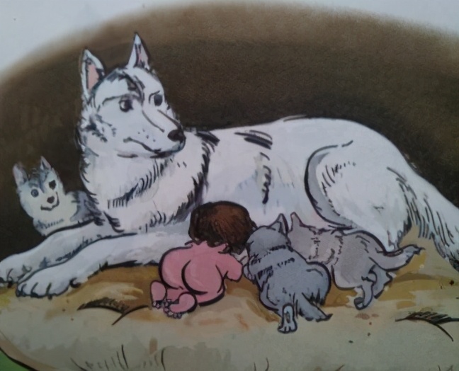 Why do wolves sometimes encounter human babies and not eat them ...