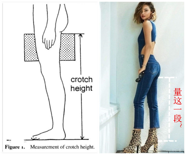 Dong Xuan's leg measures 110 cm, which is longer than Guan Xiaotong who ...