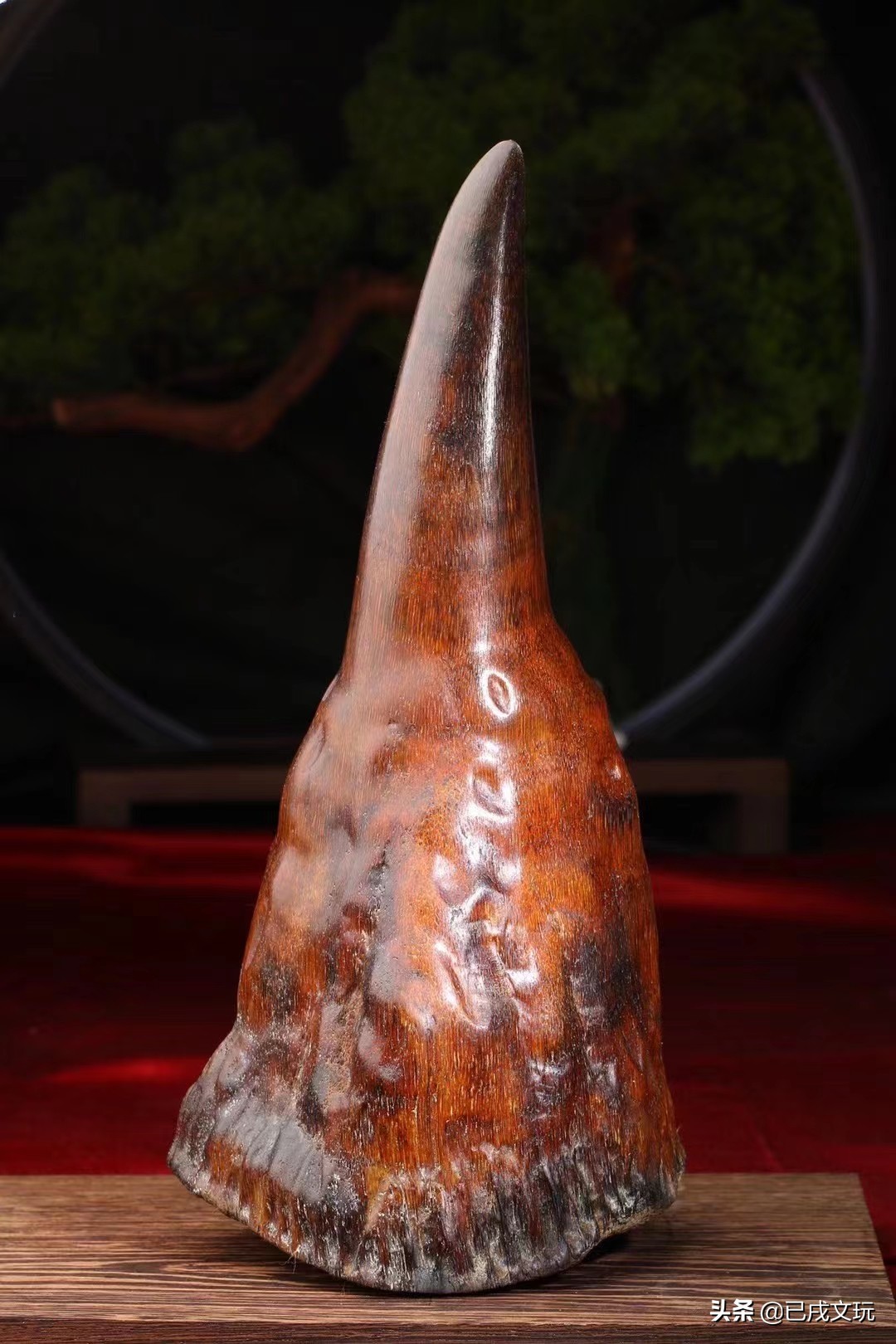 What is the texture of the real rhino horn zoomed in?beautiful - iMedia