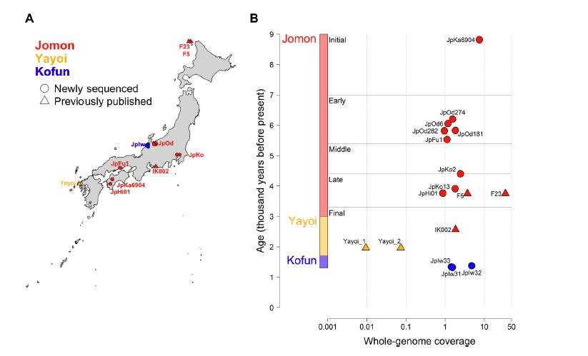 "Science": Ancient Japanese DNA shows that Japanese ancestors mainly ...