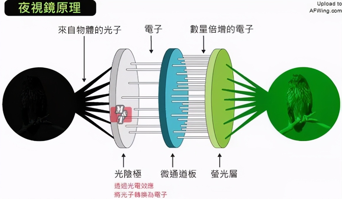 Human permanent night vision or achieved? Scientists Realize Eyeball ...