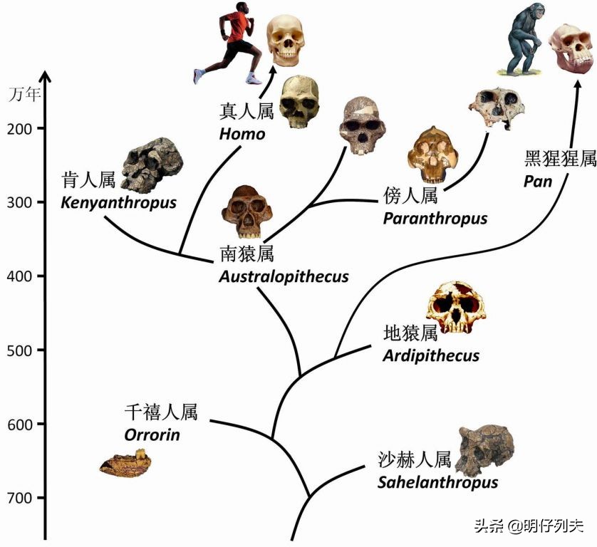 The legend of giants: Did giants really exist on the earth? - iNEWS