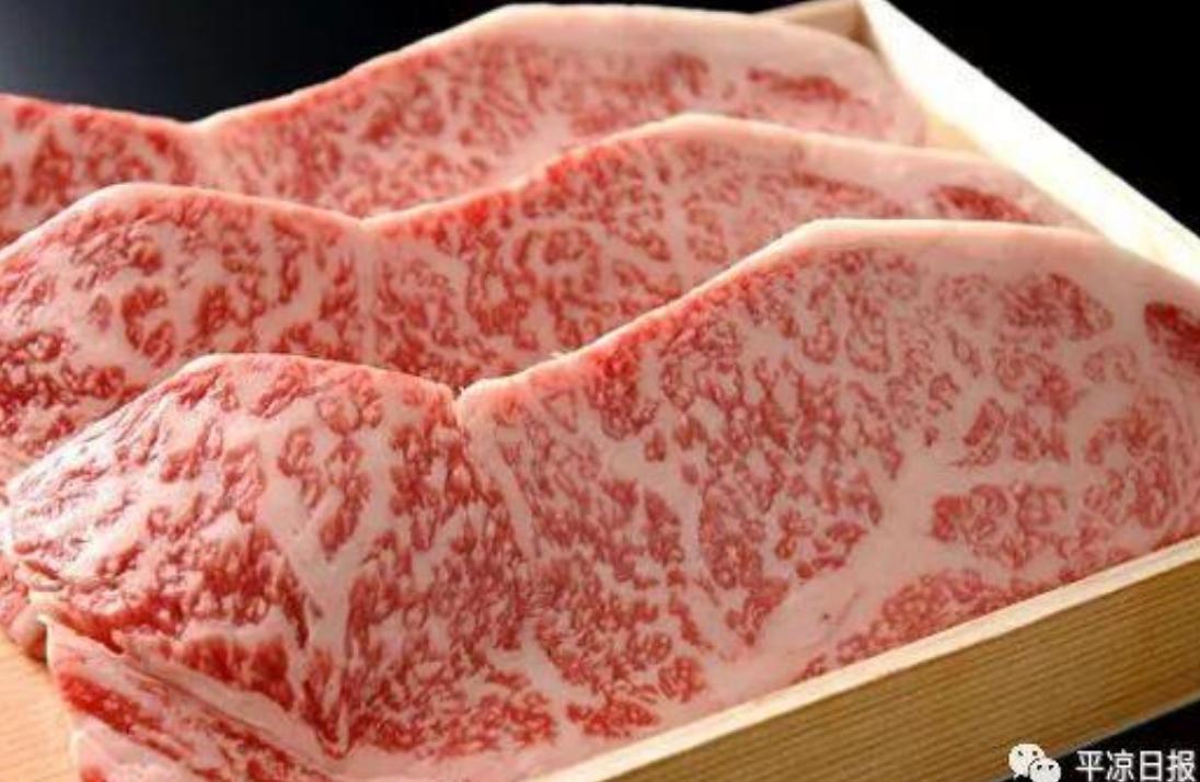 Little Devil Japanese Wagyu (Snowflake Beef)'s ancestor-Qinchuan Beef ...