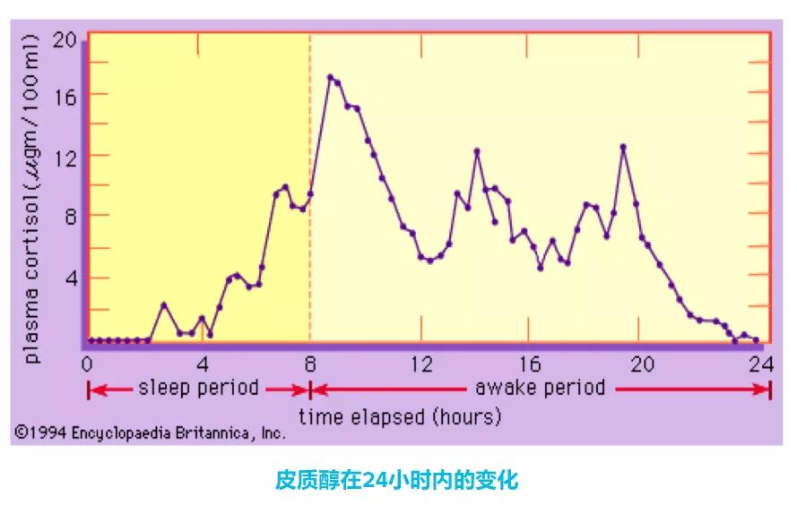 After 13 years of "Yanzhaomen", Gillian's photos were circulated by ...