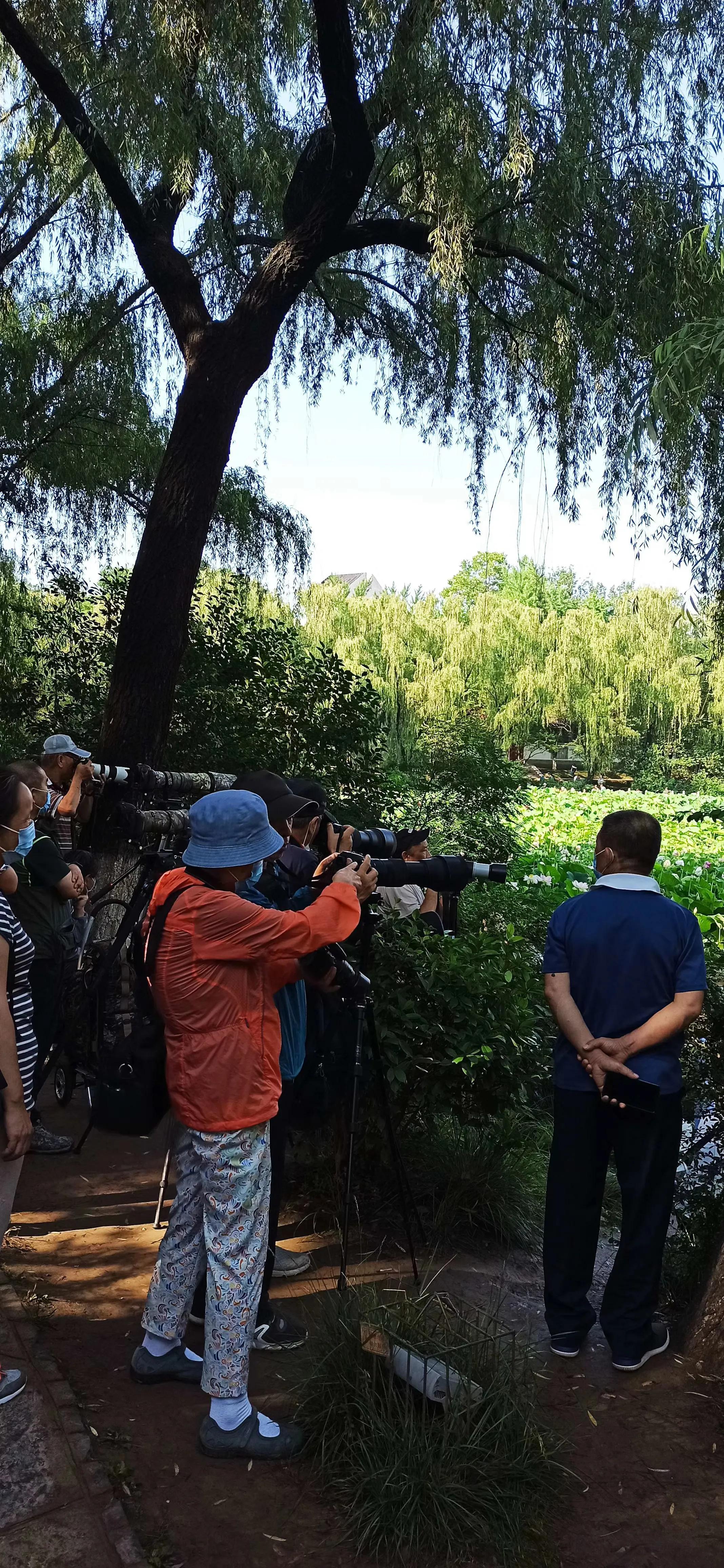 Xingqing Palace Park in the past - iNEWS