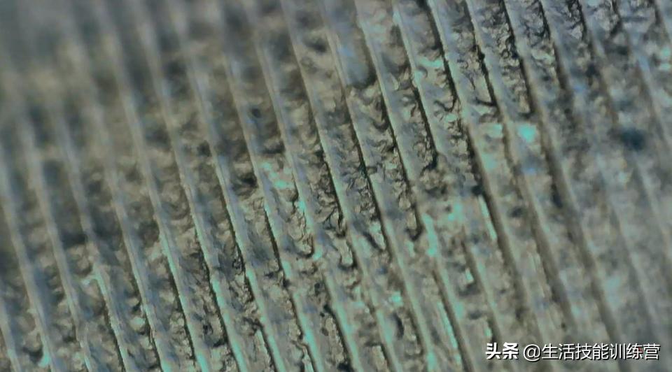 Wonderful microscopic world, 30 pictures show how everyday objects look ...