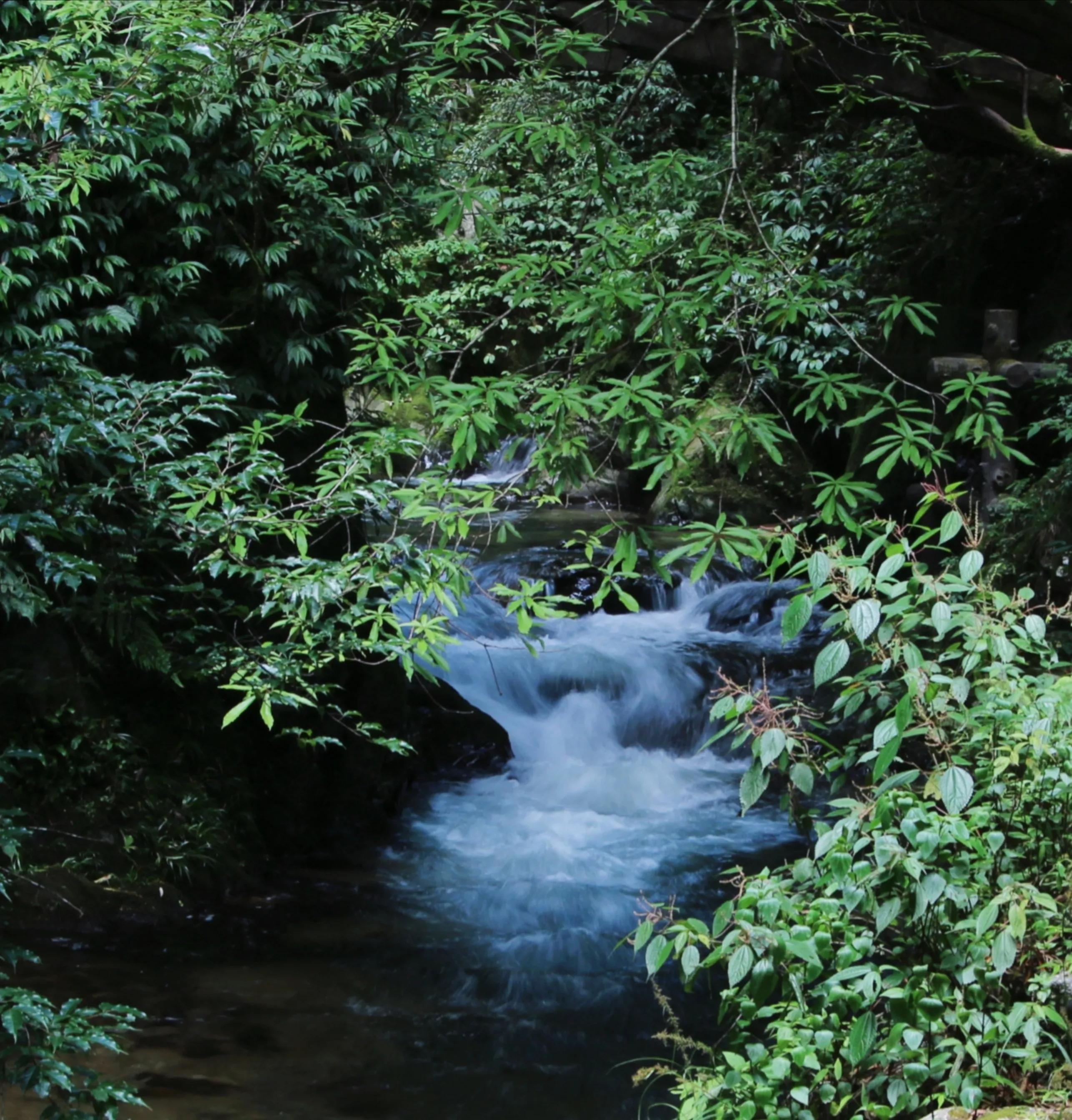 Damei Shimen Gorge - iNEWS