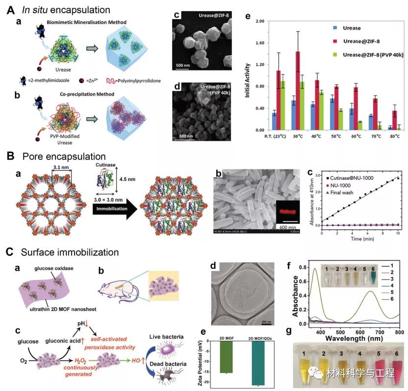 Sichuan University: Metal Organic Framework (MOF) engineered enzyme ...
