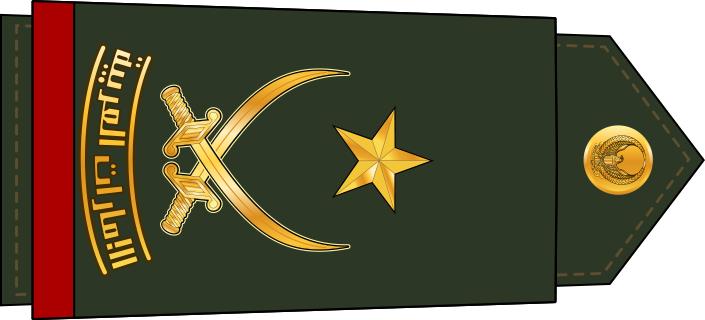 Military rank identification of each country: UAE - iNEWS