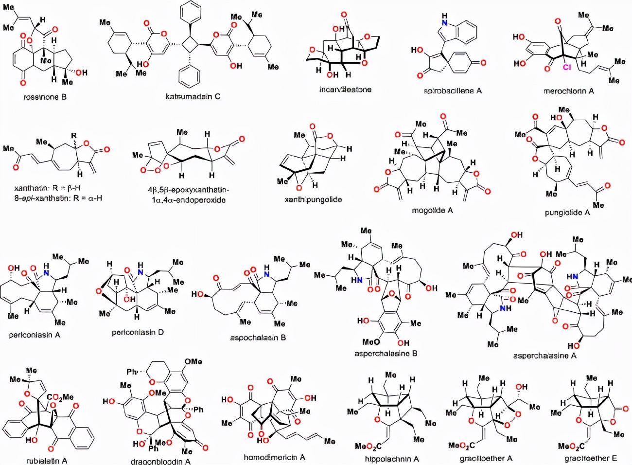 Biomimetic organic synthesis of natural products - iNEWS