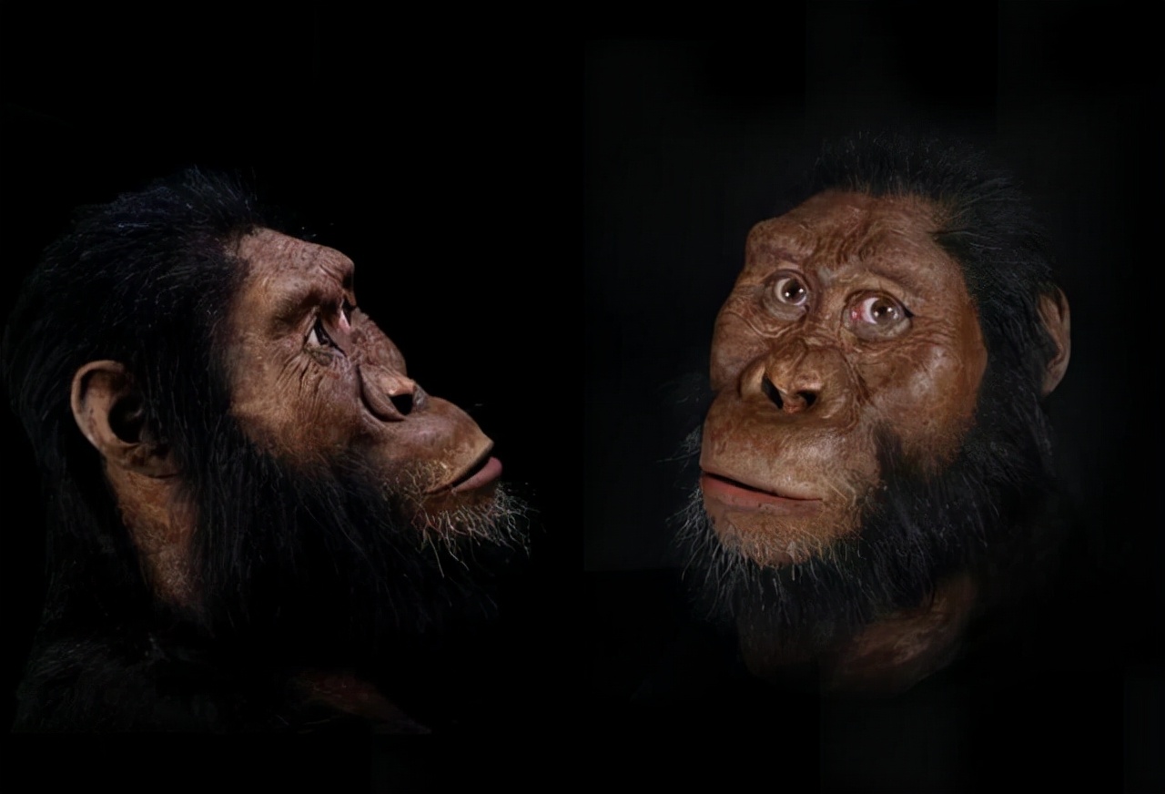 Scientists confirmed that humans evolved from fish, and the ...